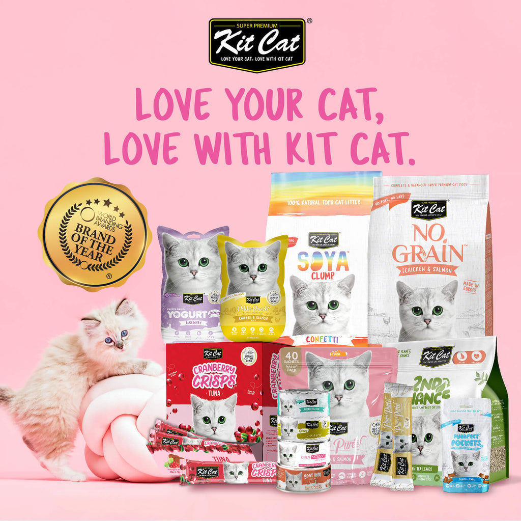Kit Cat | B2K Pet Singapore